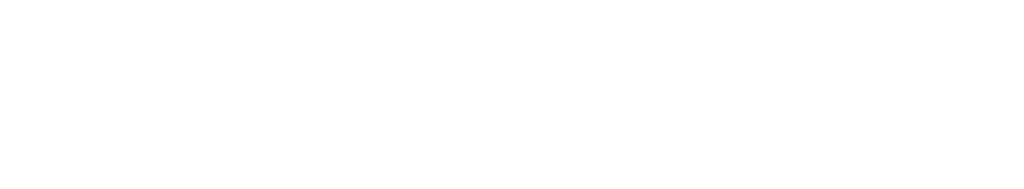 Fluid Biomed | We Develop the Next Generation of Stents