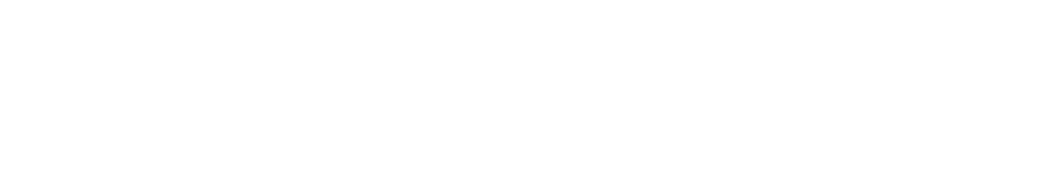 Fluid Biomed | We Develop the Next Generation of Stents